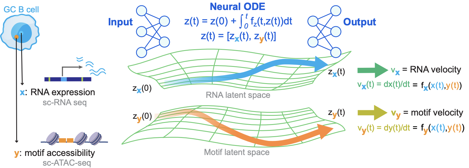 DynaVelo | Alireza Karbalayghareh