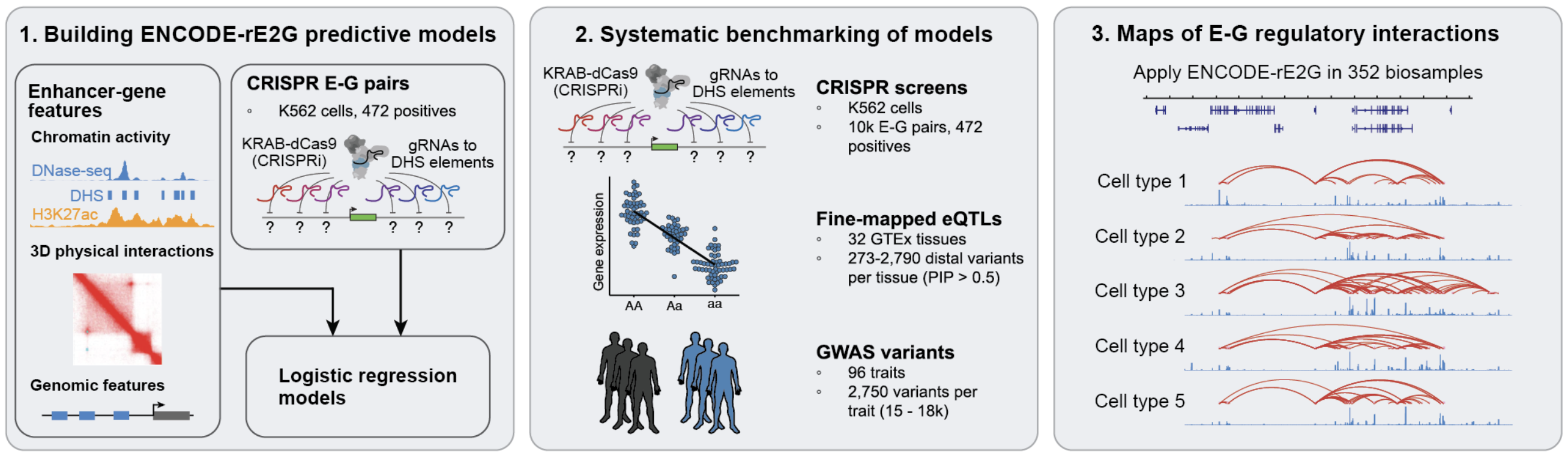 ENCODE-rE2G | Alireza Karbalayghareh