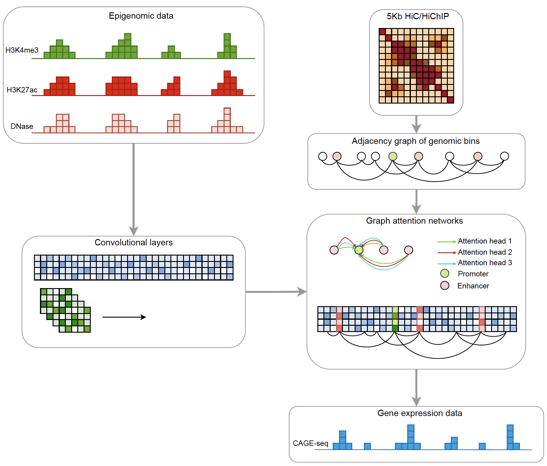 GraphReg | Alireza Karbalayghareh